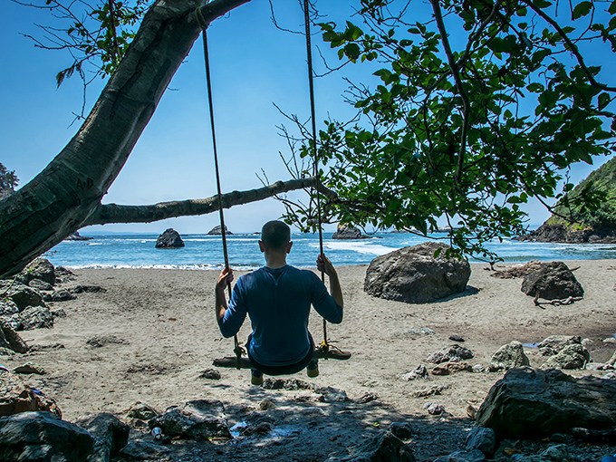 Sometimes the best seat in California isn't in a fancy restaurant but on a driftwood swing with an ocean panorama.