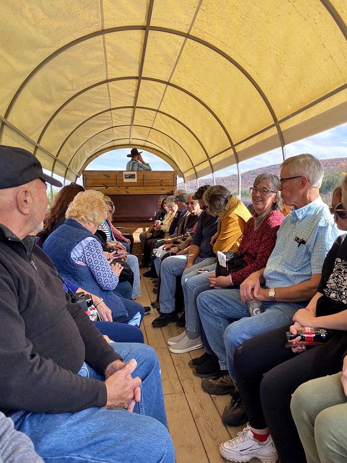 Inside the wagon, strangers become fellow pioneers. Nothing builds camaraderie quite like collectively wondering if your phone will survive without service.