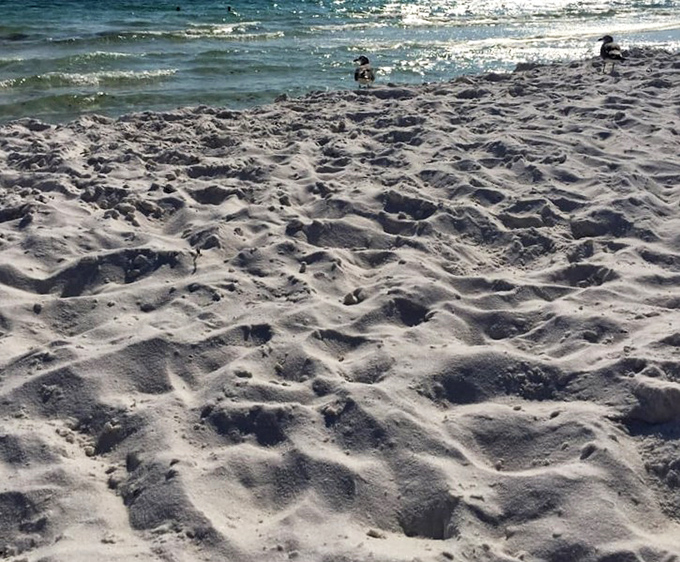 Sugar-white sand that squeaks beneath your feet. This isn't just beach—it's nature's premium exfoliant with a side of vitamin Sea.