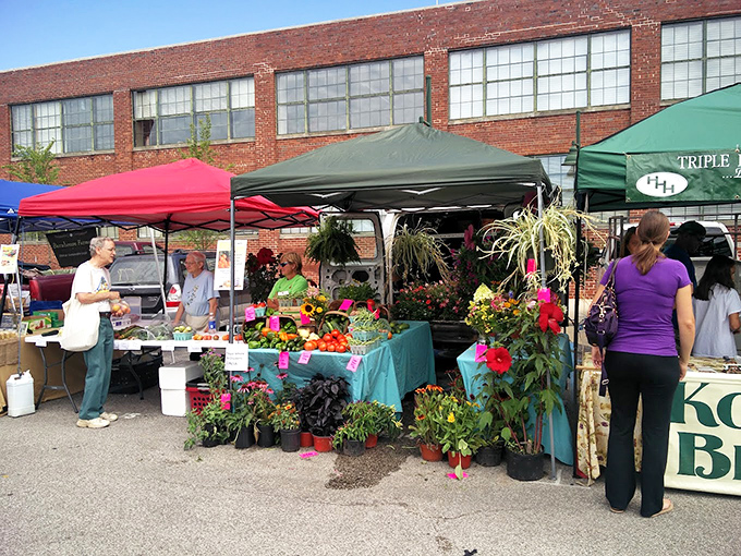 Bloomington's market blends fresh produce with handcrafted goods under cheerful tents&mdash;shopping that feeds both body and soul.