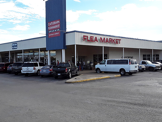 Fort Worth&rsquo;s Cattlebarn Flea Market is a weekend tradition, where aisles of bargains and hidden gems await every shopper.