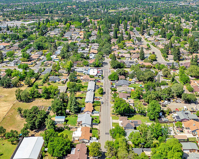 Citrus Heights' residential streets bloom with greenery – where your $2,700 budget buys you more than just housing, it buys peace of mind.