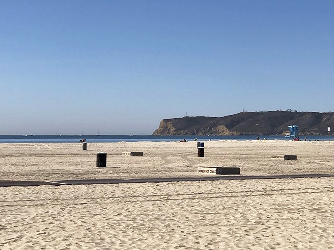 Coronado's famous sparkling sand creates the perfect canvas for paw prints. Even the seagulls seem to approve of this dog beach!