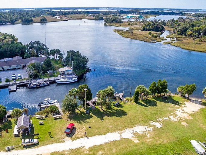 Crystal River's waterways&mdash;where manatees vacation better than most humans. This aquatic paradise offers five-star accommodations for our rotund water friends.