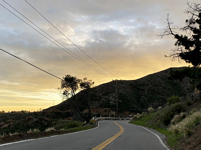 Two yellow lines leading to adventure. This winding road through Malibu&rsquo;s Decker Road Scenic Drive offers golden-hour views worth every curve.