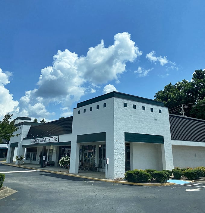 Furkids Thrift Store: where that couch you just bought helps feed a rescue puppy&mdash;shopping with a purpose never felt so good.