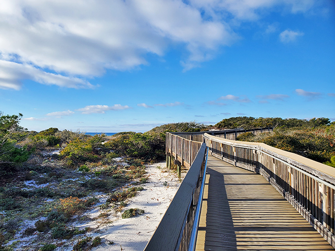 This boardwalk stretches toward paradise like a red carpet &ndash; except everyone's invited to this premiere.