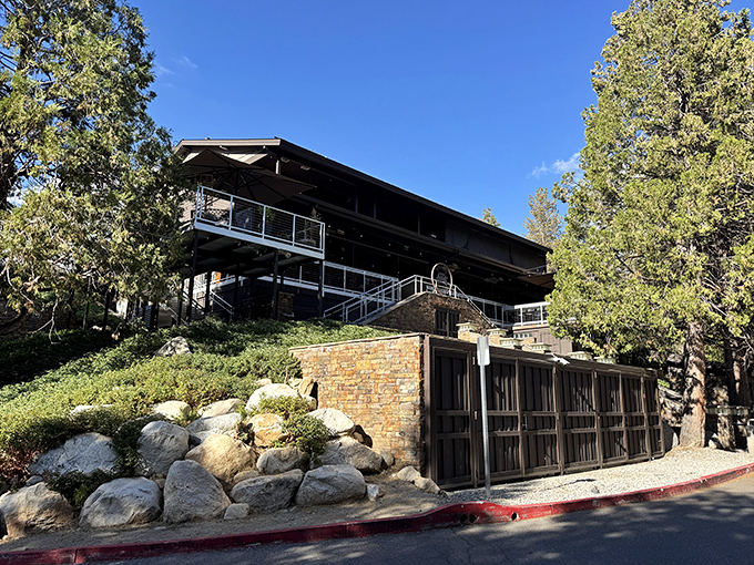 Idyllwild's mountain architecture &ndash; where wood and stone embrace like old friends. This building looks like it was designed by bears with excellent taste in mid-century design.