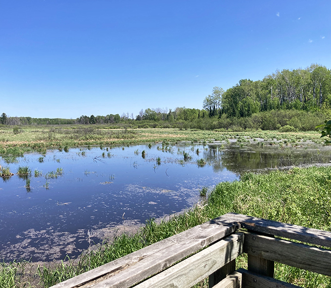 Peaceful wetlands stretch across the horizon with calm blue waters, lush greenery, and open skies inviting visitors to slow down.