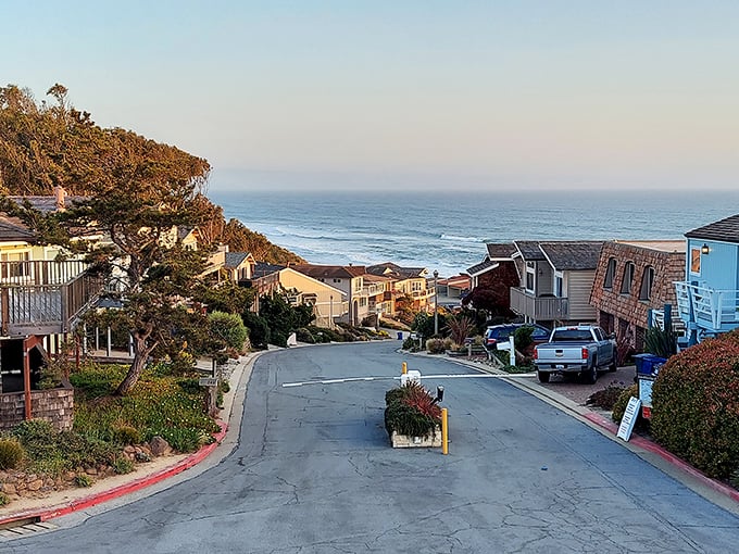 La Selva Beach stretches toward the horizon &ndash; where locals have mastered the art of keeping paradise to themselves.