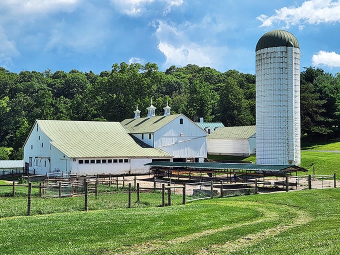 Malabar Farm's working buildings stand as monuments to sustainable agriculture. Hollywood glamour meets Midwest practicality in perfect harmony!