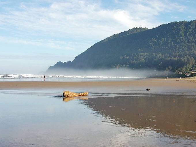 Manzanita's misty morning beach – where driftwood becomes art and worries become as distant as the horizon.