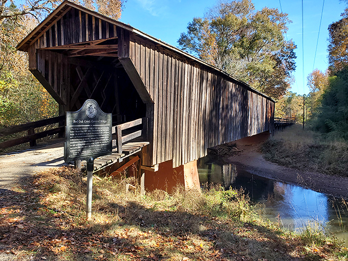 Nature's mirror reflects the peaceful beauty of Meriwether-Pike's hidden gems. A moment of tranquility worth pulling over for!