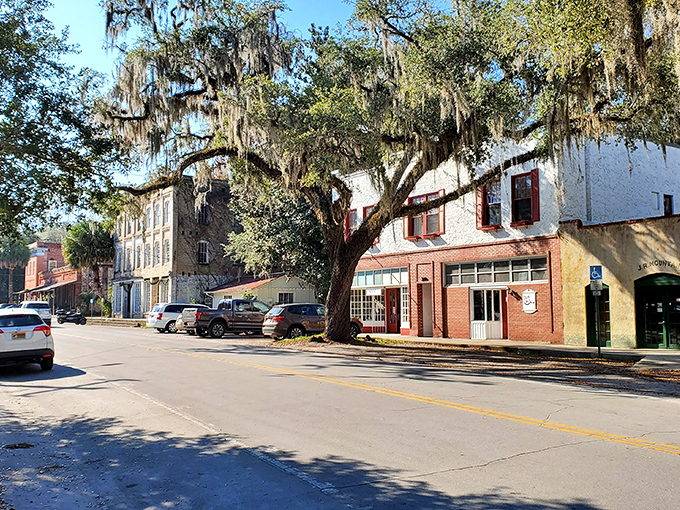 Stroll beneath moss-draped oaks and explore Micanopy&rsquo;s charming streets where history and small-town warmth fill the air.