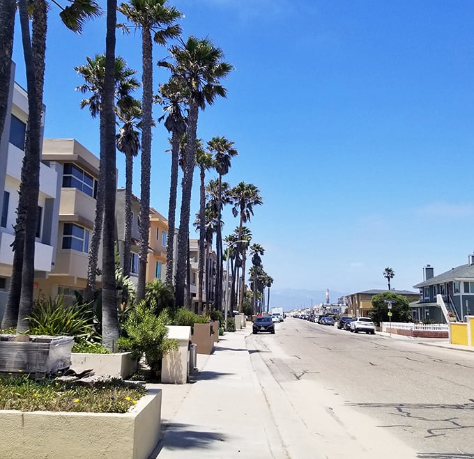 Oxnard's marina offers million-dollar views at thousand-dollar prices – a mathematical equation any retiree can appreciate.