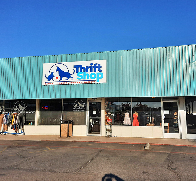 The Rancho Coastal Humane Society Thrift Shop's turquoise exterior stands out like a cheerful beacon for bargain hunters with big hearts.
