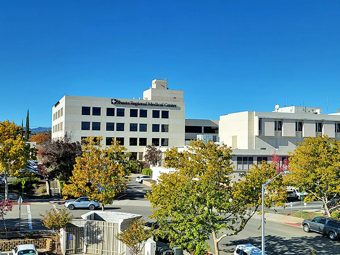 Redding's tree-lined streets and mountain backdrop prove that some California towns still remember how to balance progress with natural beauty.