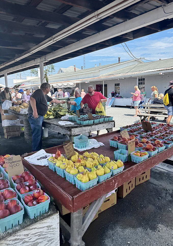 Summer's bounty on display! Fresh peaches, tomatoes and corn tempt shoppers at Roots Market where farm-to-table isn't a trend&mdash;it's tradition.