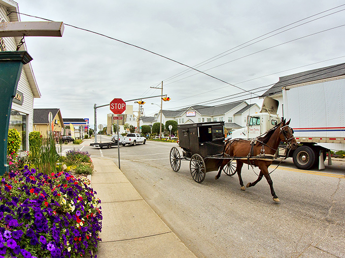 Where else can you see horse-drawn buggies sharing the road with SUVs? Shipshewana's blend of past and present creates postcard-perfect scenes.