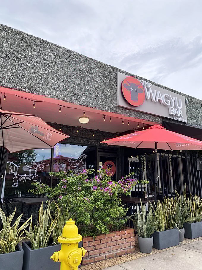 The Wagyu Bar's bold signage matches their bold flavors &ndash; Miami's meaty marvel in minimalist packaging.