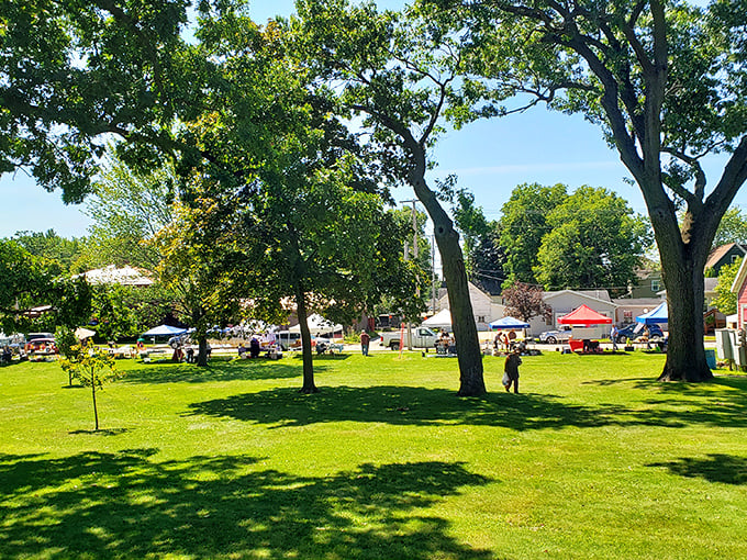 Tomah's market transforms grassy town squares into community gathering spots where shopping becomes a social event.