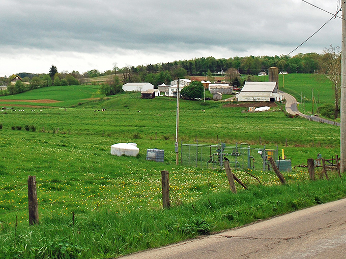 Rolling green hills stretch endlessly, dotted with working farms that define authentic rural American life in heartland Ohio.
