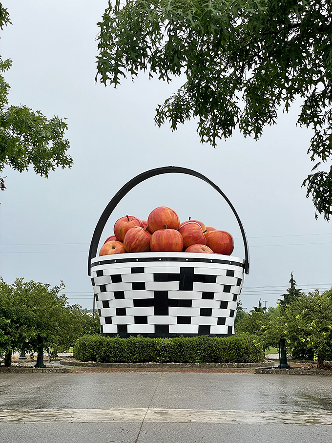 An apple a day? This massive basket holds fruit so enormous, even the doctor might stay away!