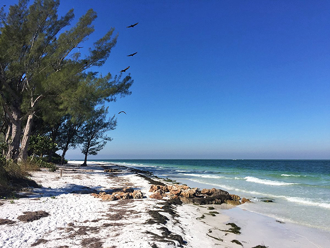 Anna Maria's pristine shores stretch endlessly, where the biggest worry is whether to build sandcastles or hunt for shells.