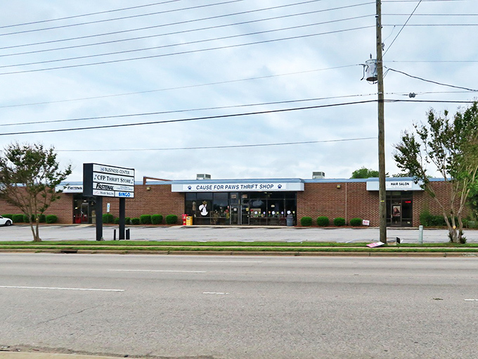 Shopping with purpose! This unassuming storefront houses treasures that help furry friends find forever homes.