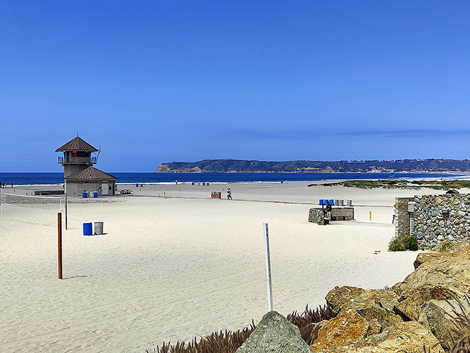 Wide open spaces and room to run &ndash; Coronado's dog beach delivers the dream. That lifeguard tower watches over two-legged and four-legged swimmers alike.