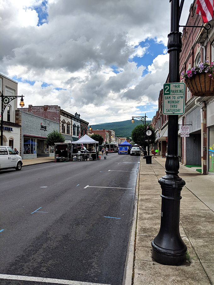 Tree-lined neighborhoods remind us that some places still prioritize shade over speed limits.