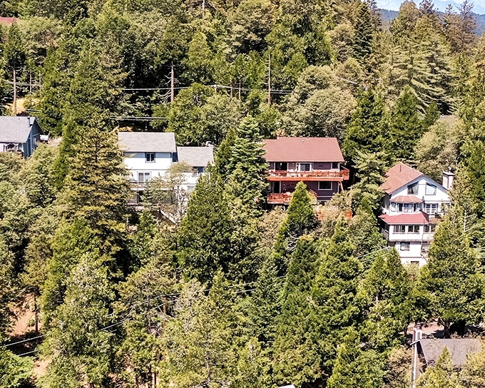 Tree house living for grown-ups! Crestline's homes peek through pine forests like a retirement community designed by Mother Nature herself.