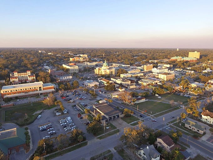 DeLand from above reveals itself as a perfect grid of possibilities&mdash;each street a potential adventure, each building a story waiting to be discovered.