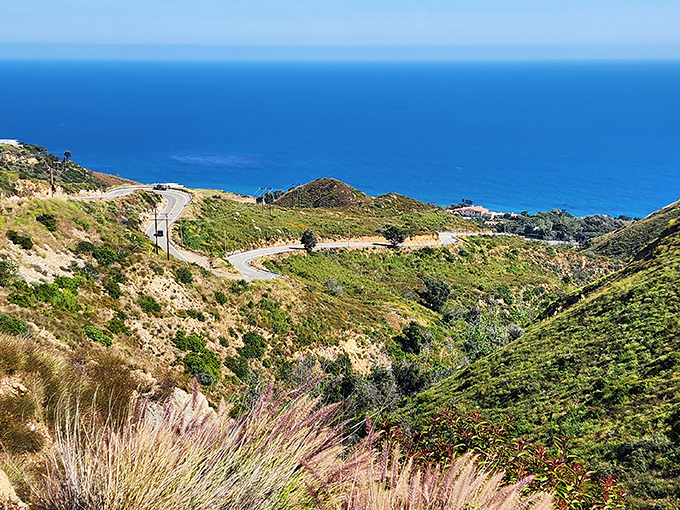 Ocean views that make you forget your destination. Decker Road's coastal vistas might just be the best therapy in Southern California.