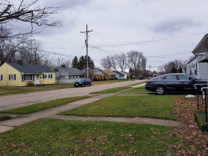 Quiet neighborhoods where Lake Erie breezes carry whispers of affordable dreams coming true.