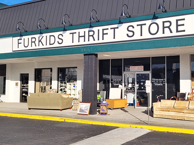Those sofas lounging outside Furkids Thrift Store are just the beginning of a treasure hunt that saves both money and animals.