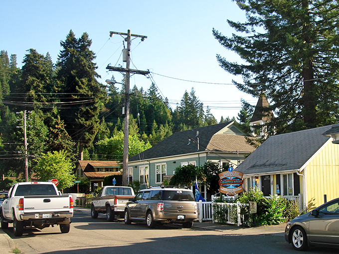 Tree-lined streets whisper stories of simpler times when neighbors actually knew each other's names and borrowed sugar.