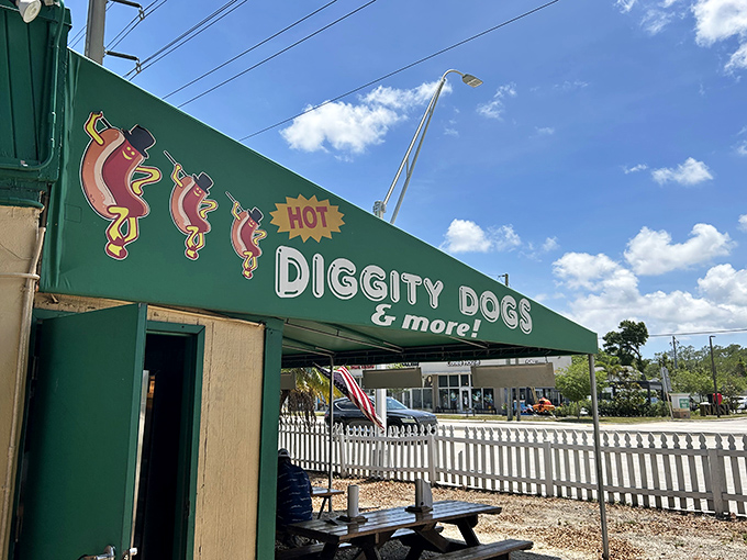 Picnic table dining never felt so right - outdoor eating the way nature and hot dogs intended.