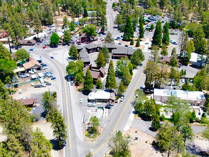 Idyllwild from above reveals nature's master plan &ndash; those winding roads and pine-covered hills create a green tapestry that makes suburbia seem like a silly concept.