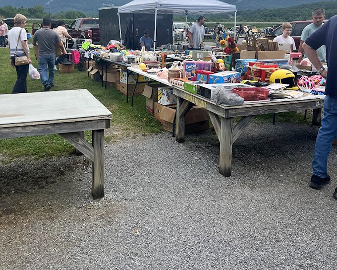 Treasure hunting in the great outdoors! Leighty's vendors display their wares against a backdrop of rolling hills and blue skies.