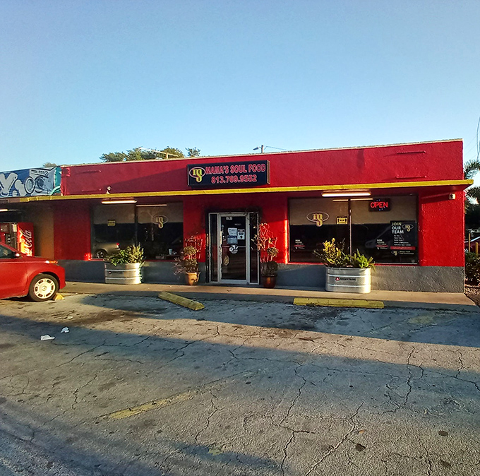 Sometimes a restaurant's confidence shows in its paint job - this crimson beauty delivers on every promise.