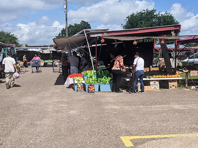 Market day in McAllen! Shoppers browse outdoor stalls where everyday necessities meet unexpected treasures.
