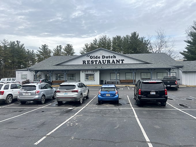 The Olde Dutch knows exactly what it is &ndash; a temple of comfort food that doesn't need fancy frills to impress.