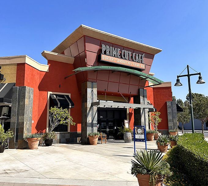 Clean lines and contemporary style prove that great steakhouses don't need to look like saloons.