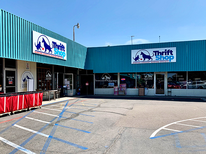 Two signs, one mission&mdash;this bright blue building houses treasures that fund second chances for furry friends awaiting forever homes.