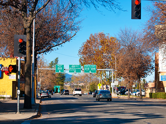 Tree-lined streets and mountain views make Redding a scenic retirement haven where your budget breathes easier.