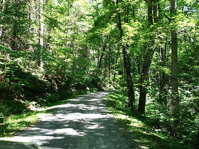 The road less traveled! Rich Mountain's gravel path offers solitude and views that Instagram filters couldn't possibly improve.