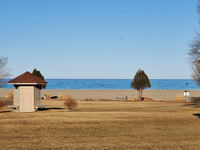 Rogers City's pristine waters meet a cloudless sky. The kind of blue that makes you forget what day of the week it is.