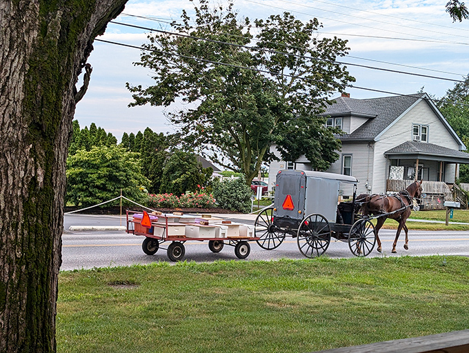 Amish ingenuity on display! This wagon-and-buggy combo efficiently delivers both family and farm goods to their destination.