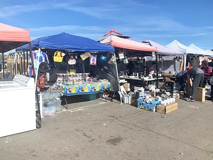 Swap meet zen garden! Spring Valley's colorful vendors create a marketplace mosaic where every booth promises new discoveries.